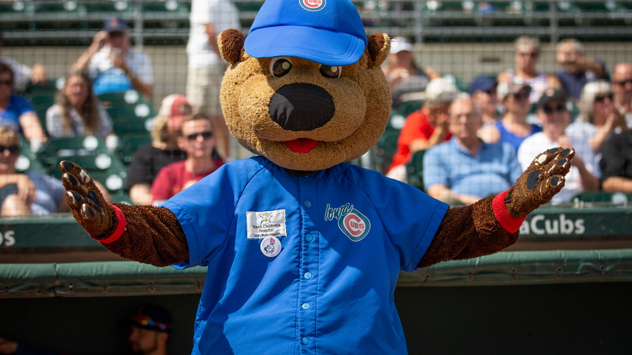 Community | Cubs