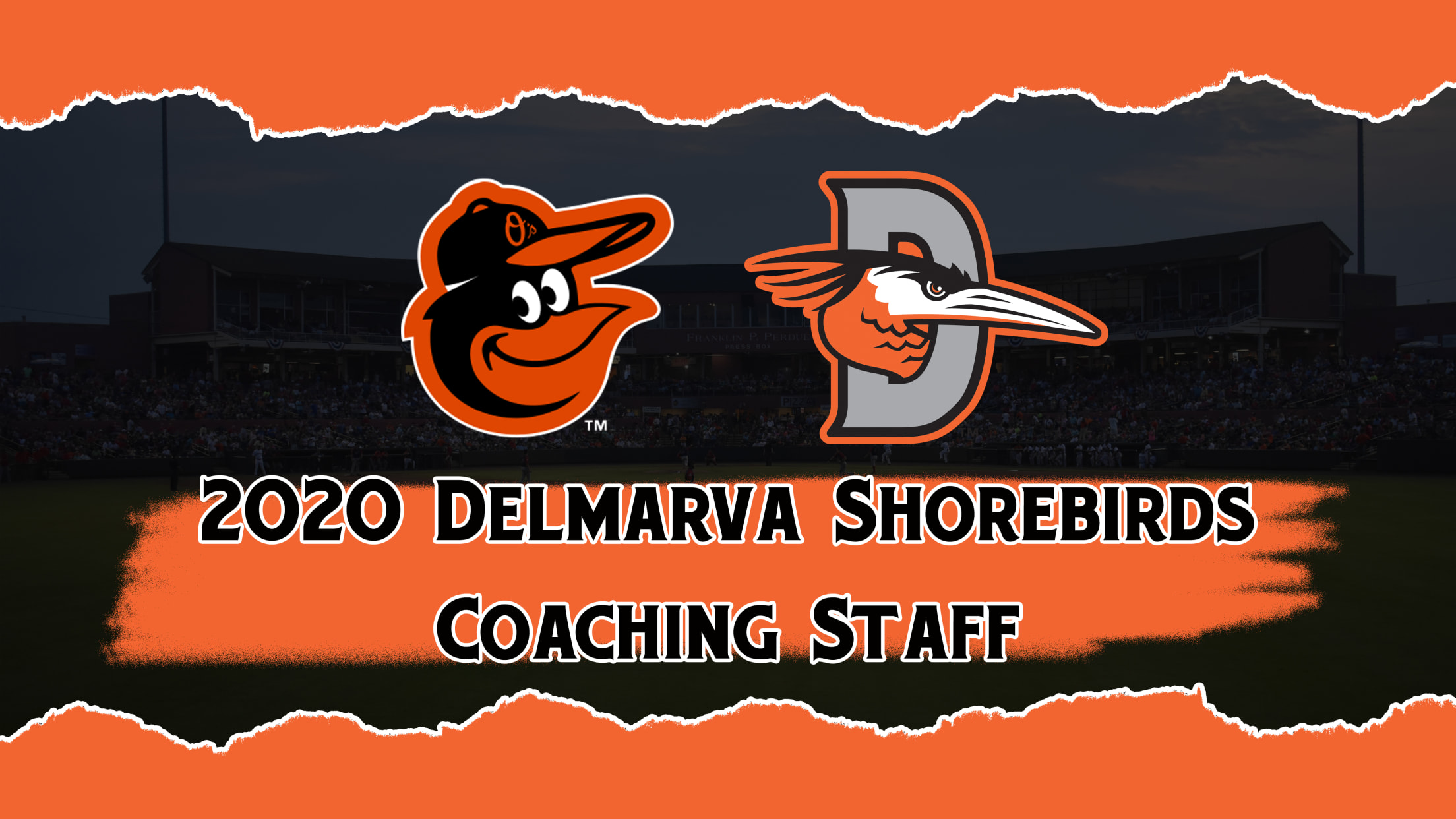 New Field Staff to Lead 2020 Shorebirds | MiLB.com