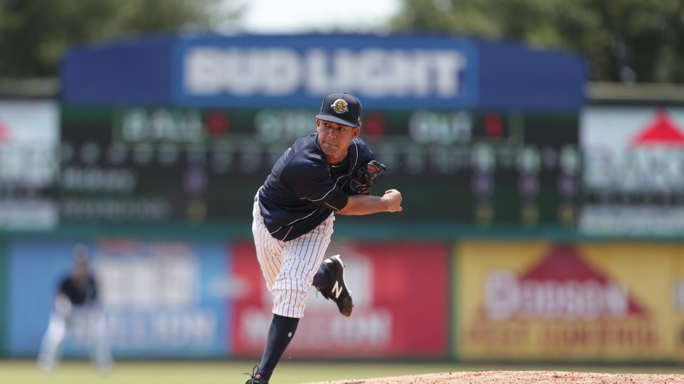 Dogs with a Cause | RiverDogs