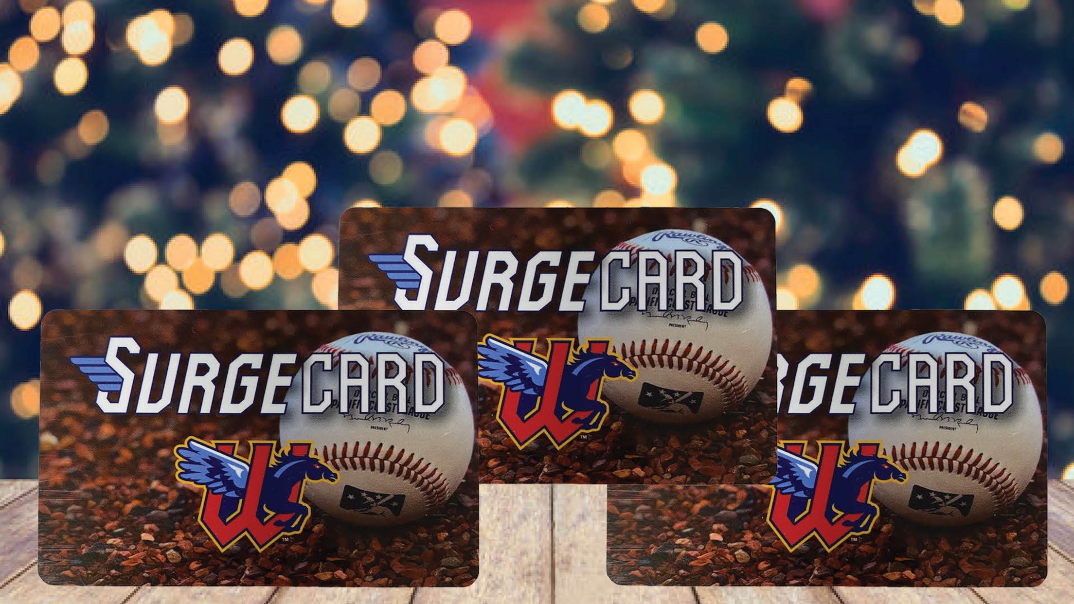 Holiday Gift Guide | Wind Surge