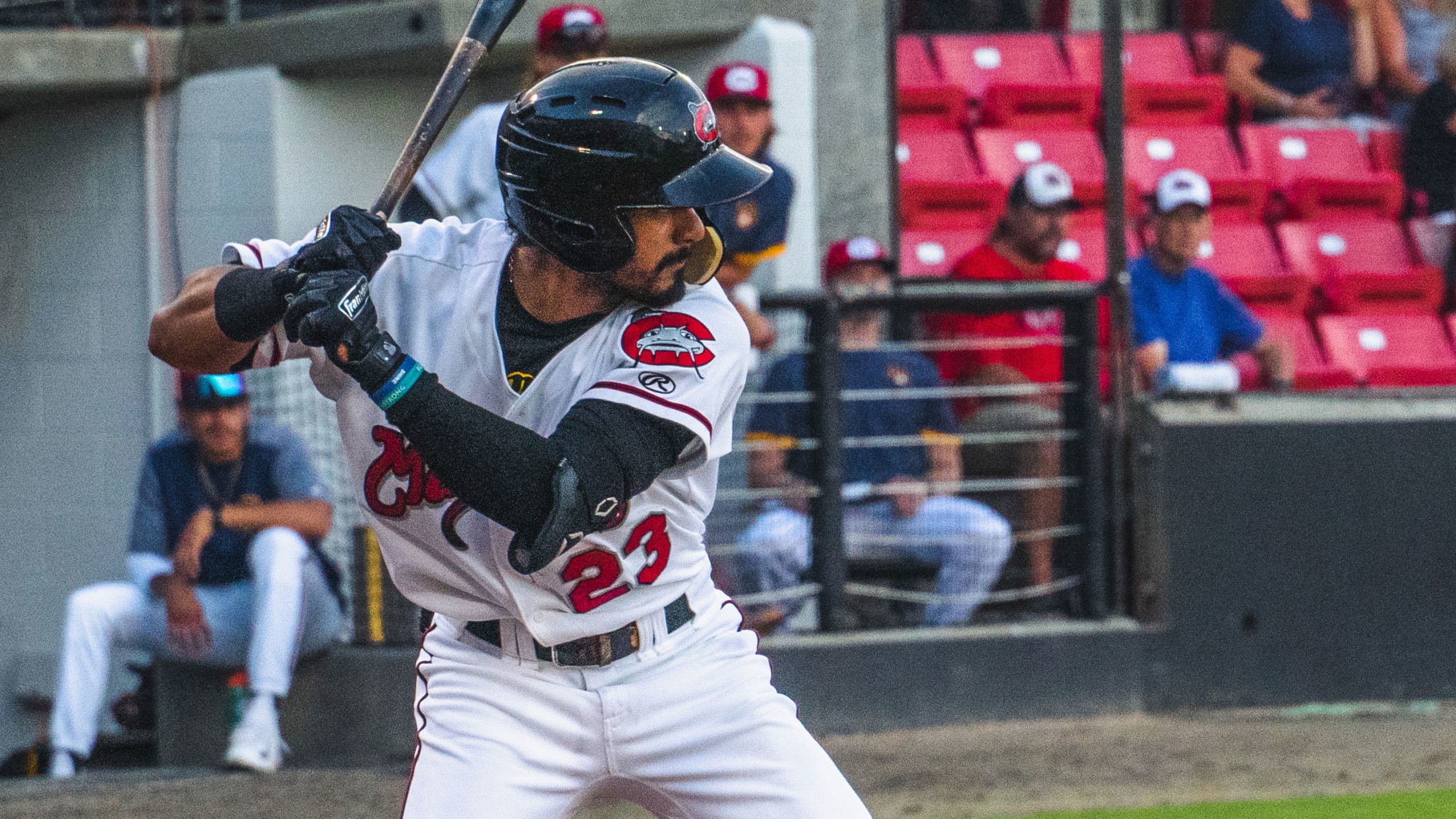 Comeback 'Cats Win Fourth Straight | MiLB.com