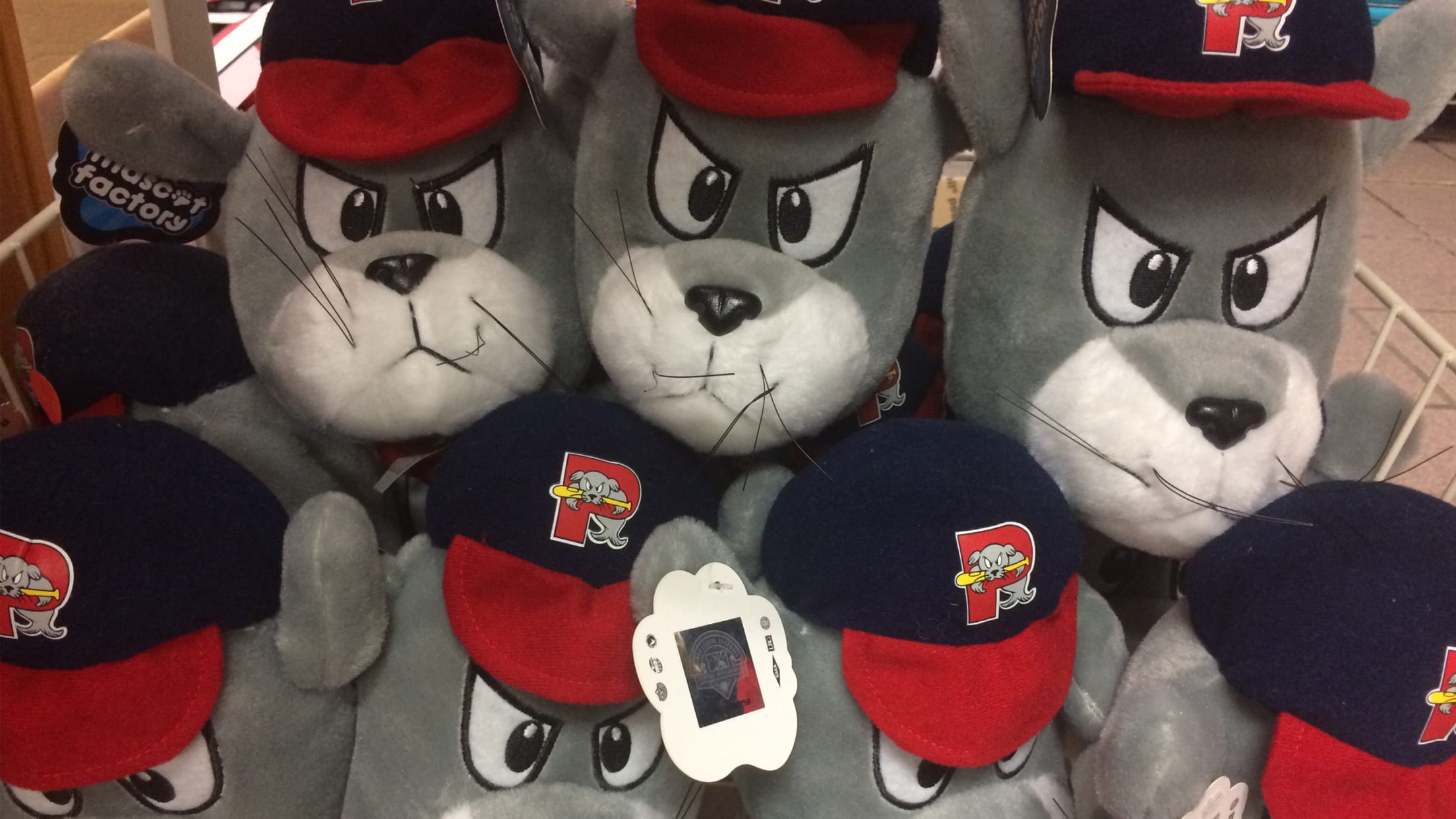 Sea Dogs Mascots Slugger the Sea Dog | Sea Dogs