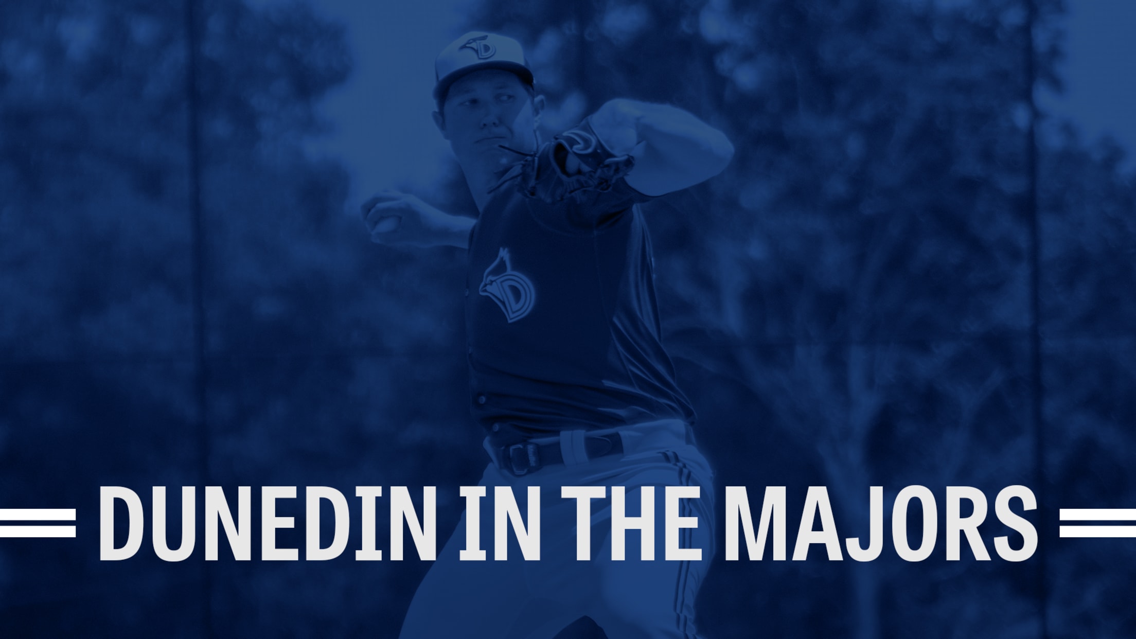 Dunedin Blue Jays | MiLB.com