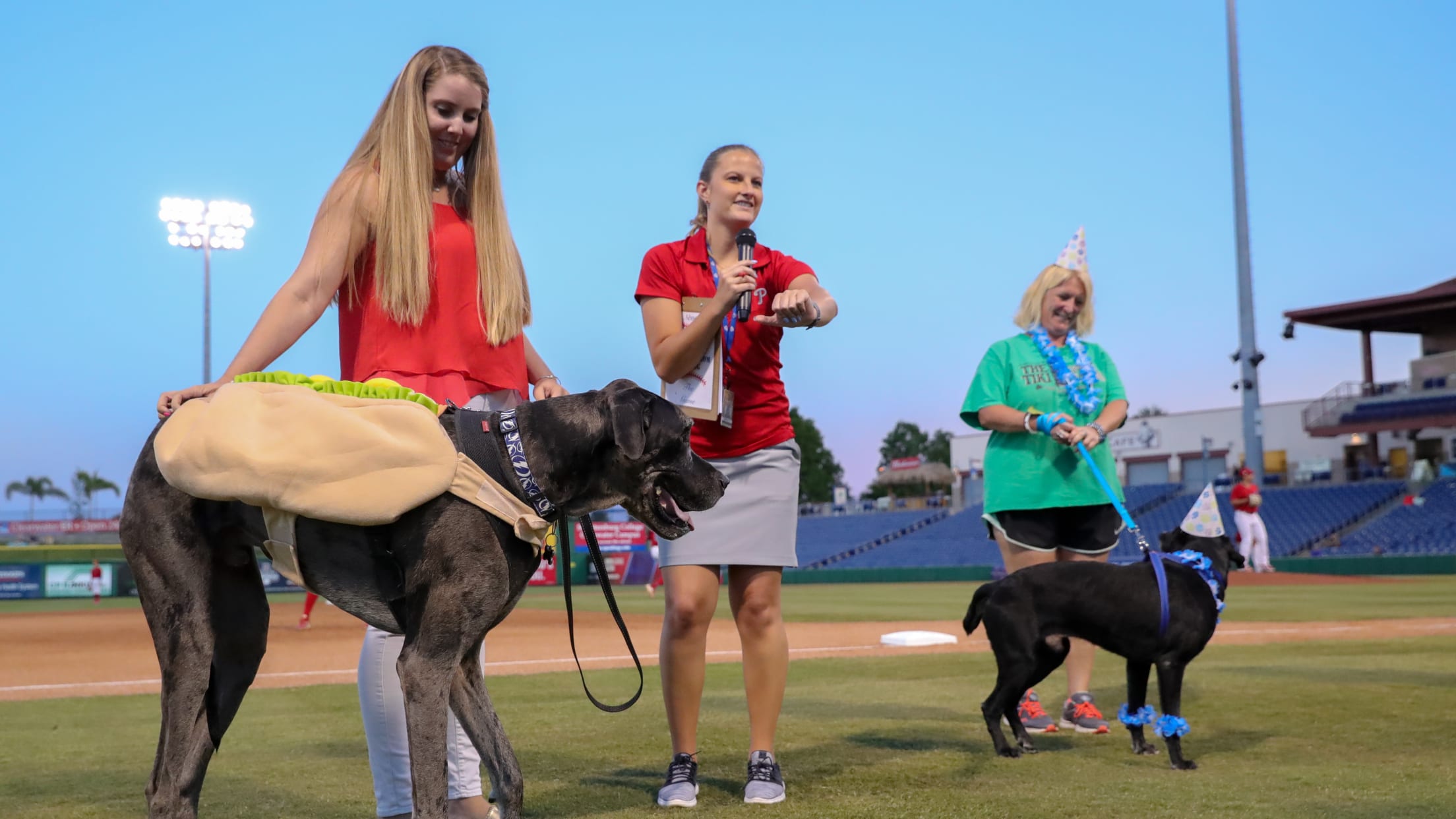 threshers | Threshers