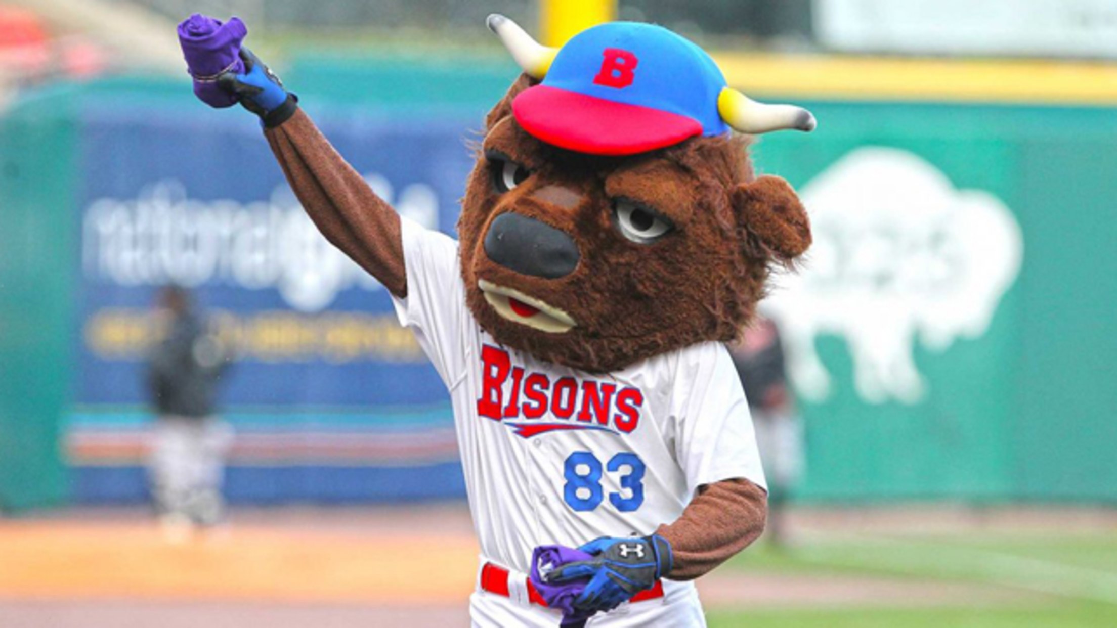 Buffalo Bisons fans | Bisons