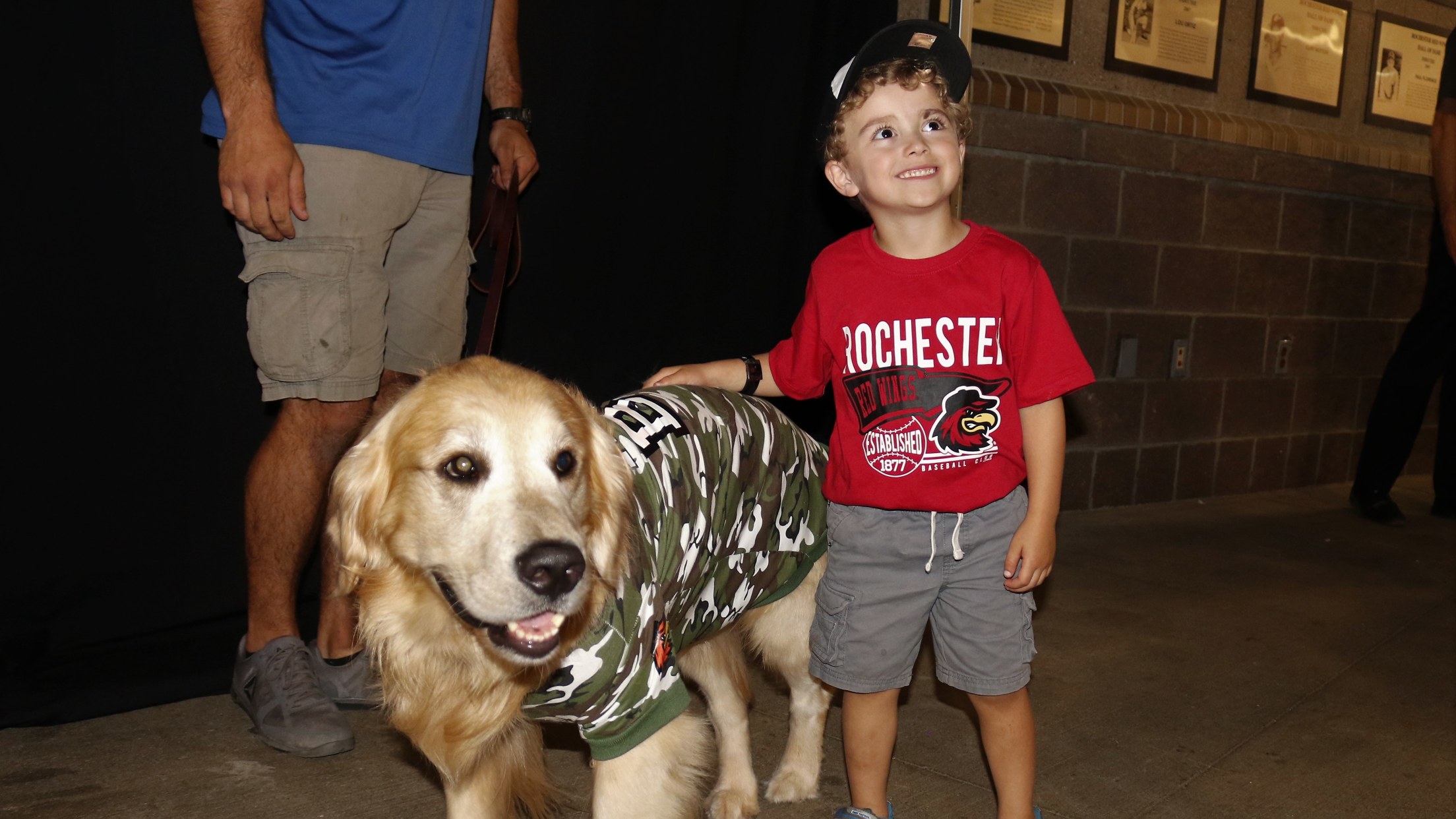 Milo The Bat Dog | Red Wings