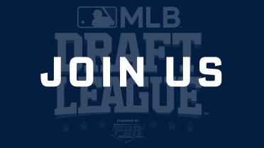MLB Draft League | MLBDraftLeague.com