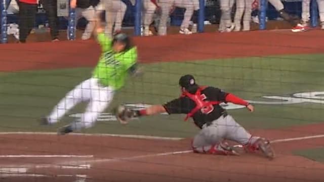 Reece Hampton Stats, Age, Position, Height, Weight, Fantasy & News ...