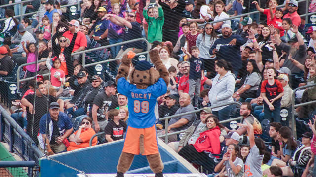 Ticket Options | RockHounds