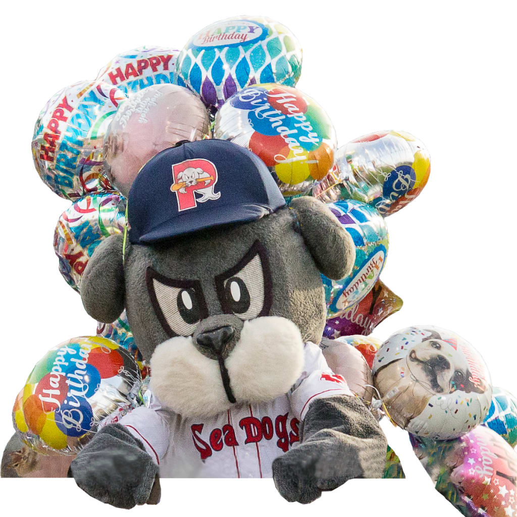 Portland Sea Dogs Birthday Parties | Sea Dogs