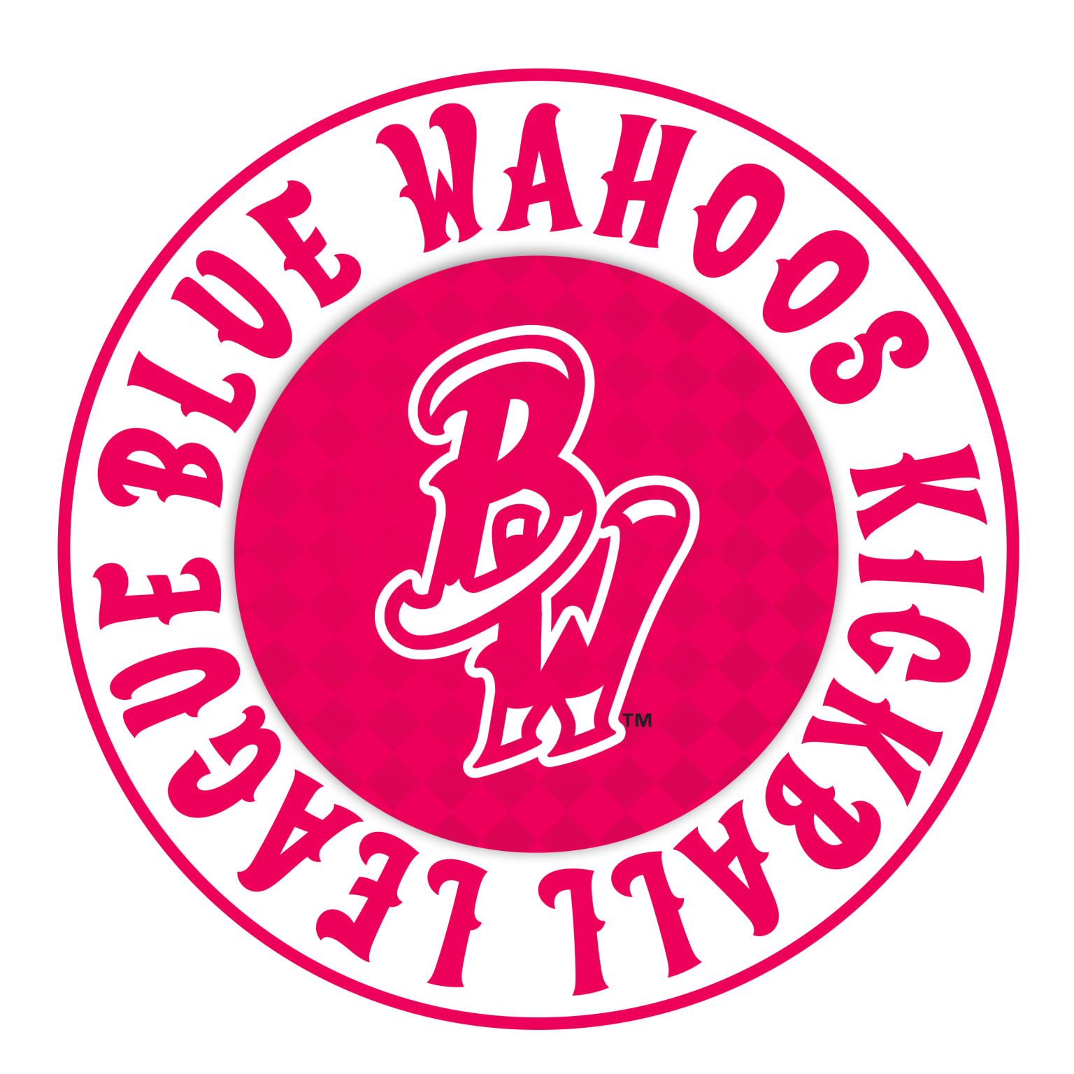 Kickball League | Blue Wahoos