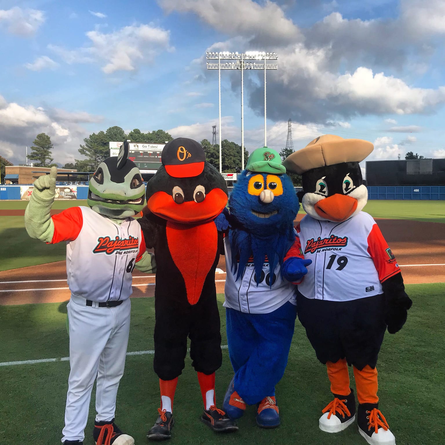 Tides Mascots | Tides
