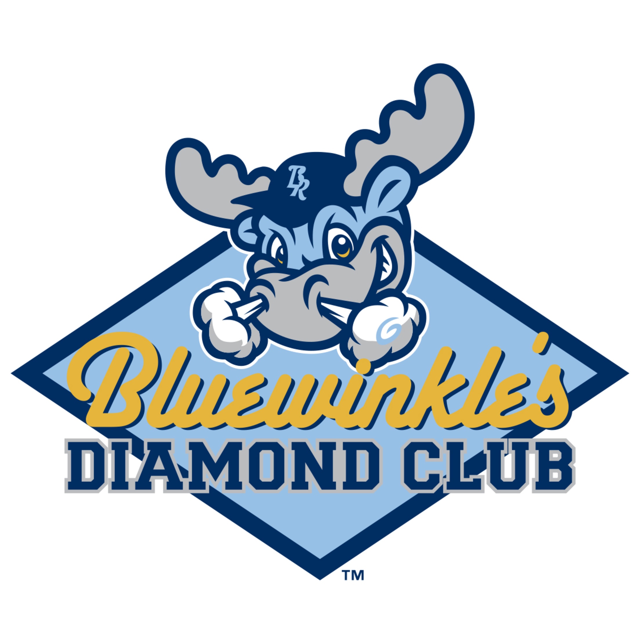 Wilmington Blue Rocks Bluewinkle's Diamond Club | Blue Rocks
