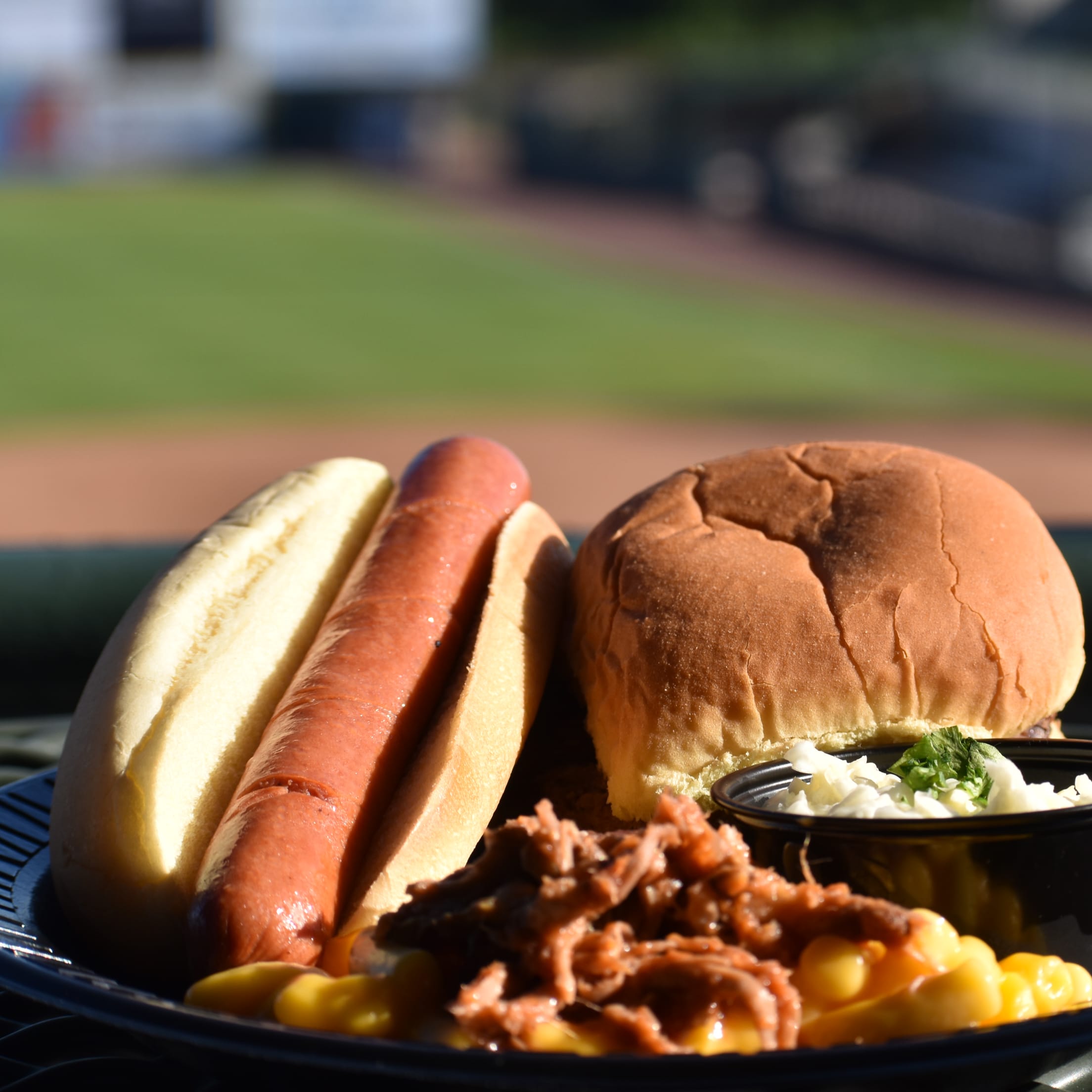 somerset-patriots | Patriots