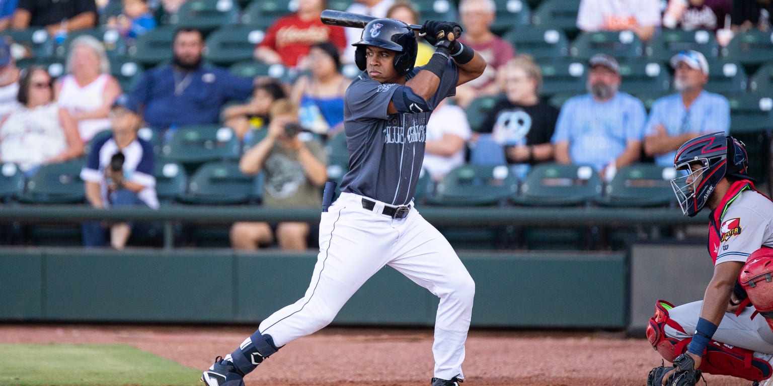 Valdez Earns TL Player of the Month Award | MiLB.com