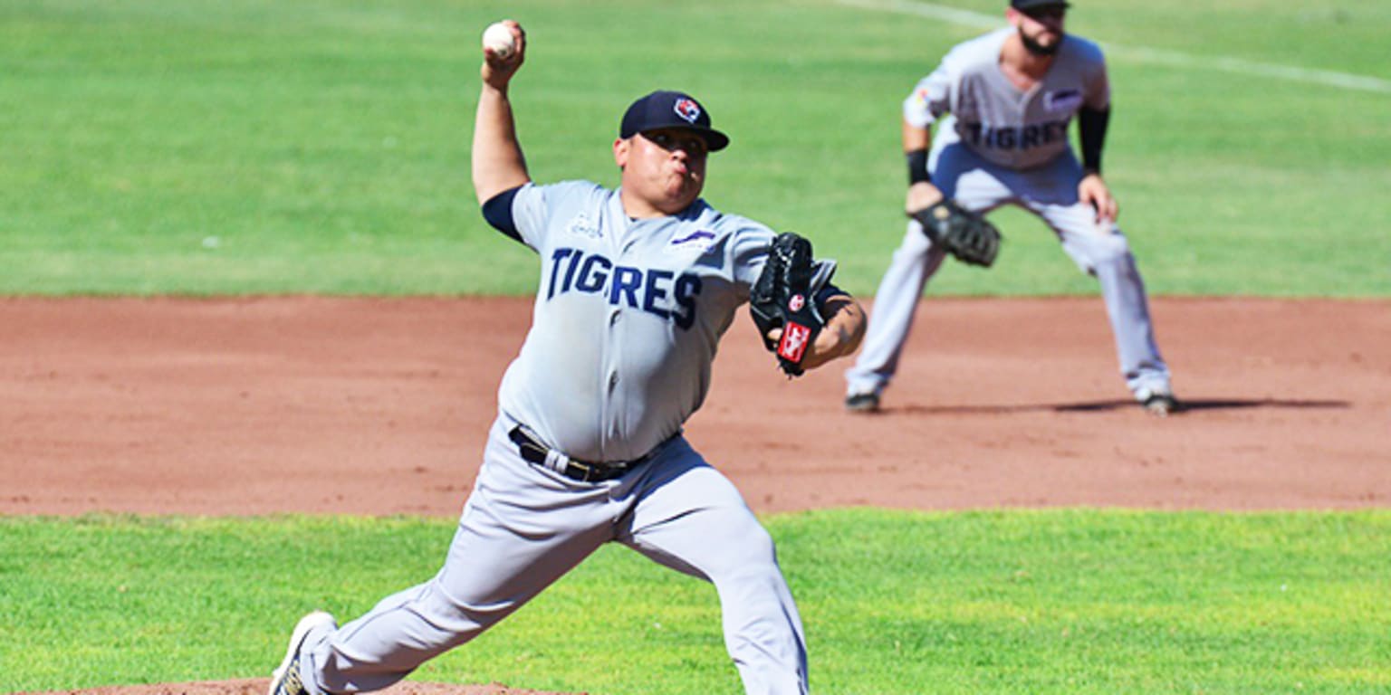 Tigres: Reporta el estelar lanzador Javier Solano | MiLB.com