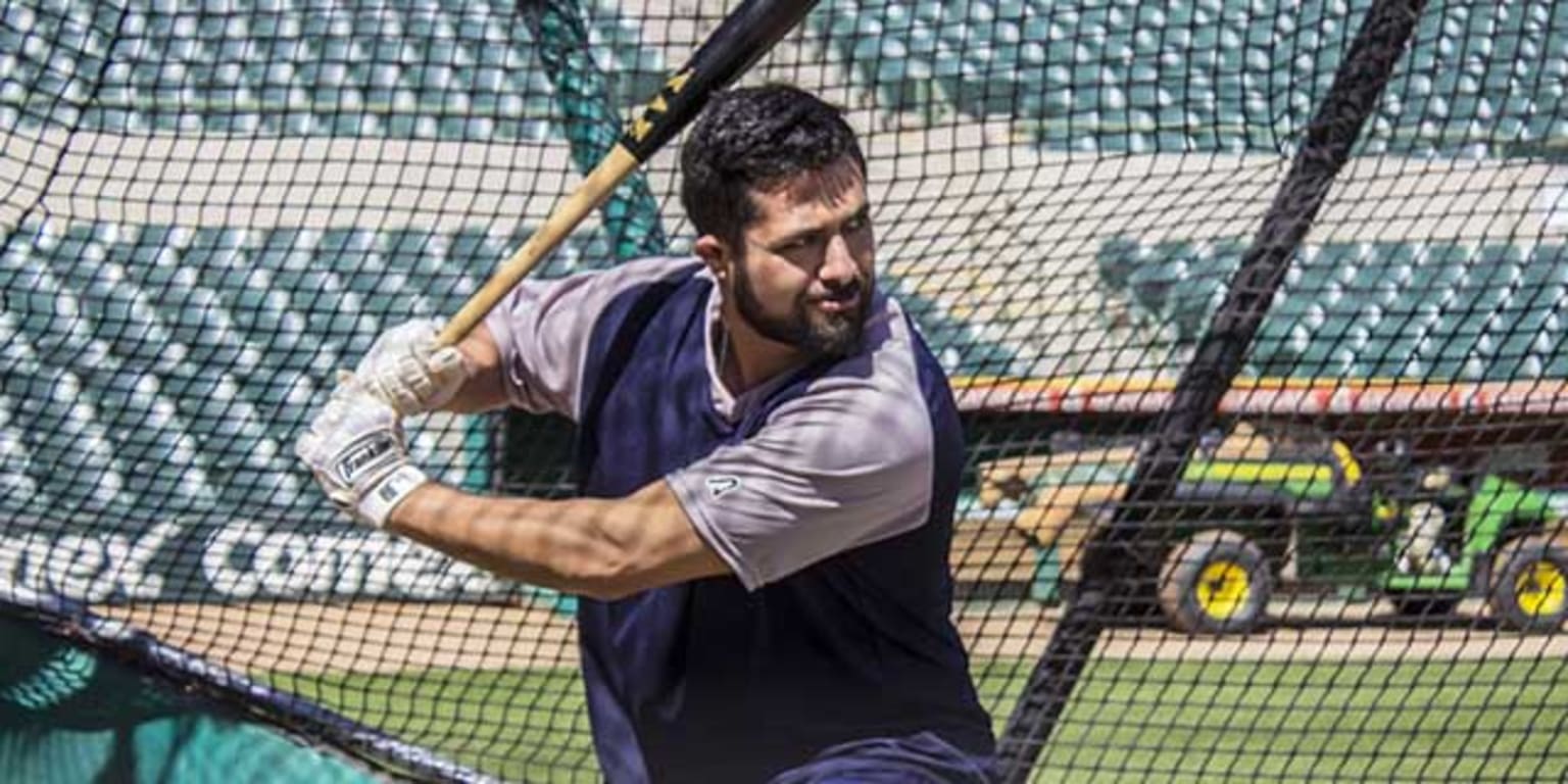 Brian Hernández, con etiqueta de líder en Tigres | MiLB.com