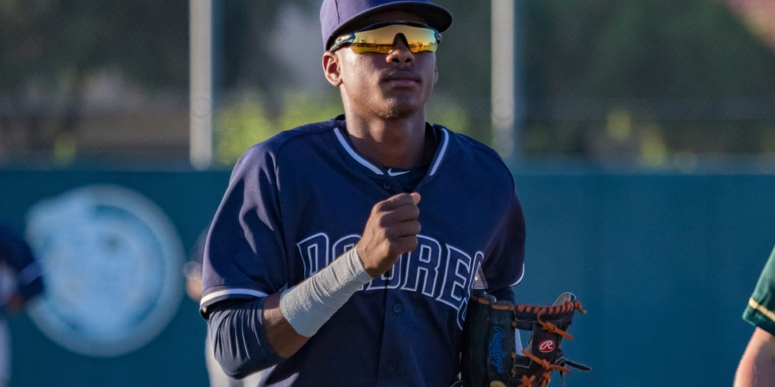 Cubs nab ranked quartet from Padres | MiLB.com