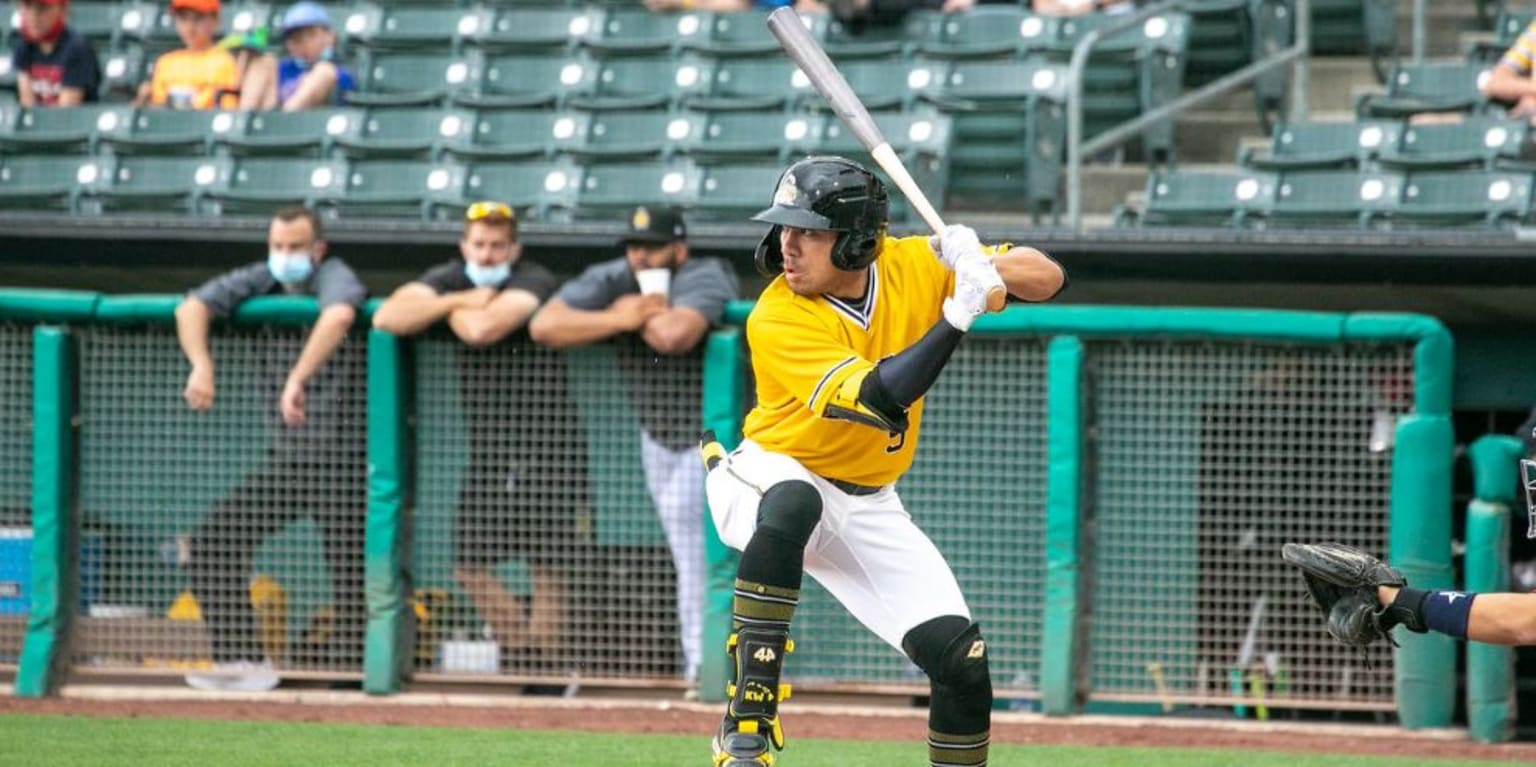 opening day roster 22 | MiLB.com