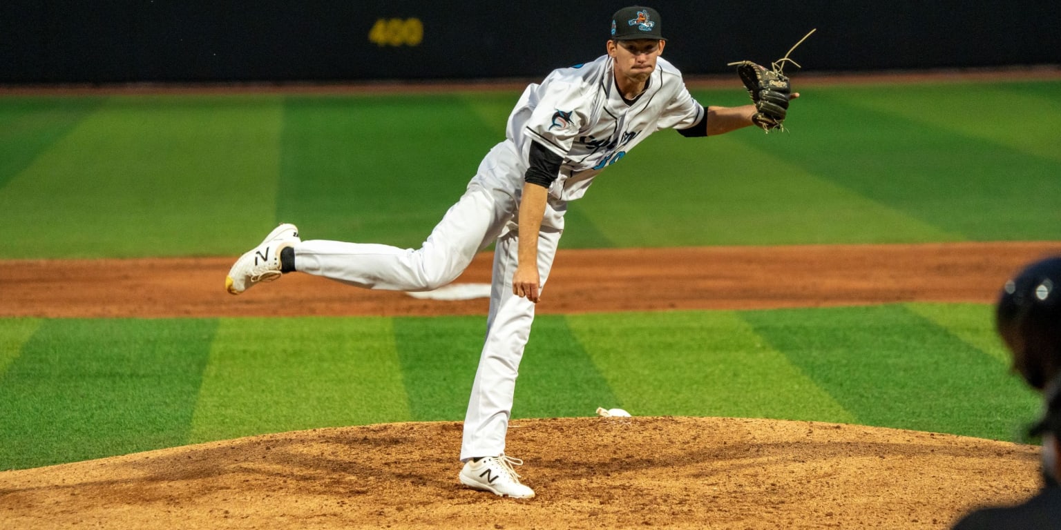 MD Johnson blazes own path with Beloit Sky Carp | MiLB.com