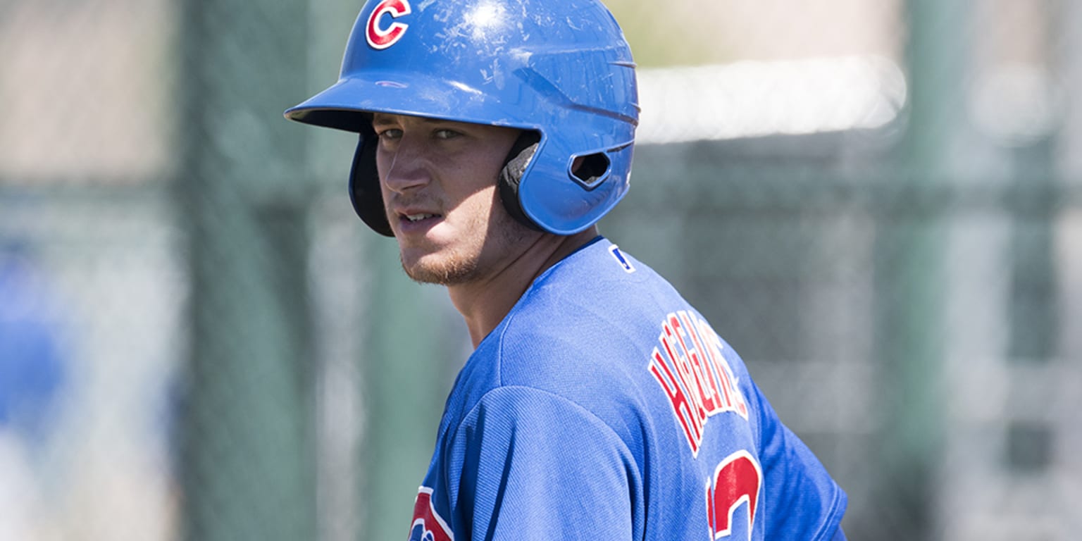 Chicago Cubs' P.J. Higgins builds his resume | MiLB.com