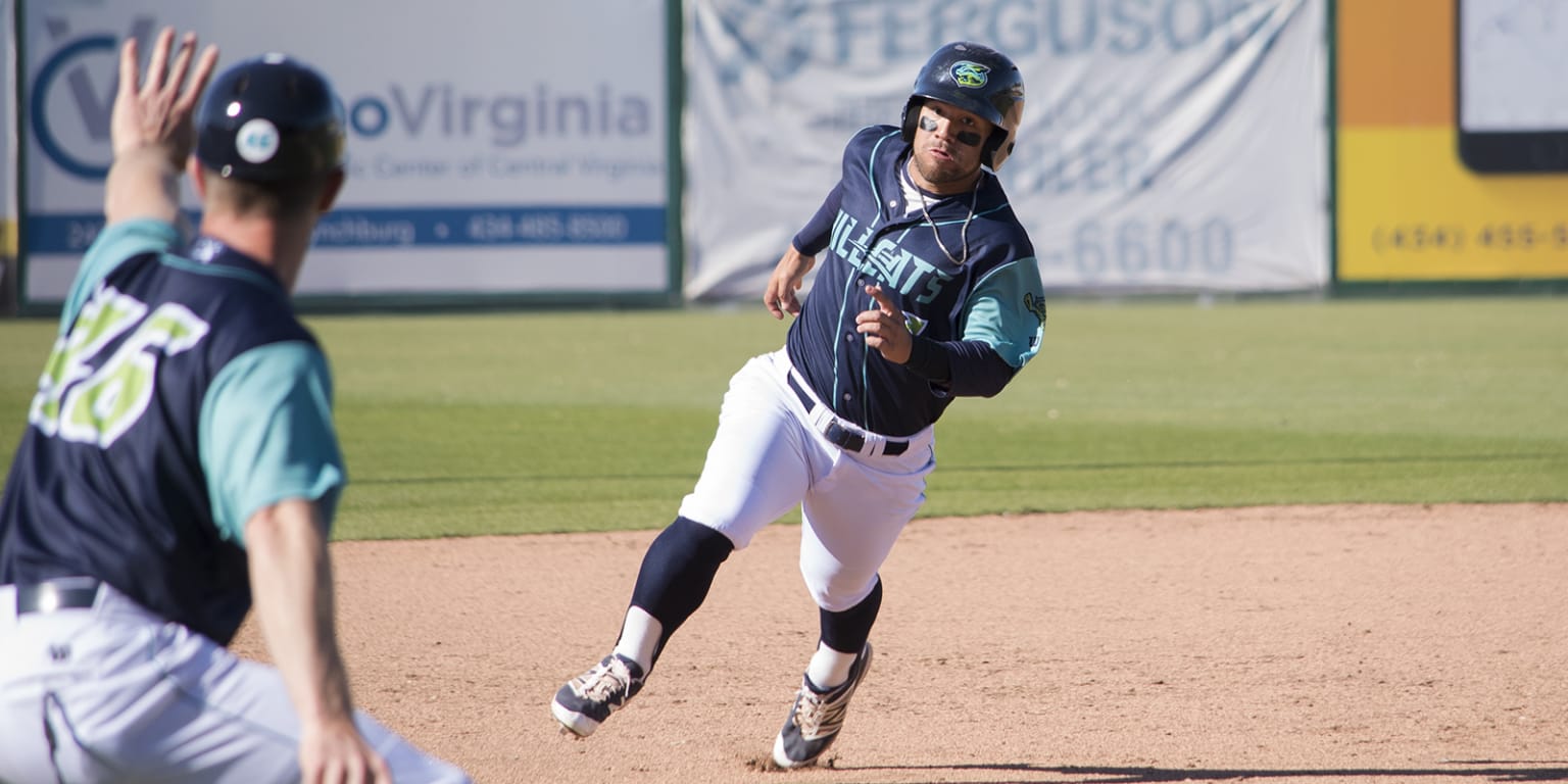 Hillcats Fall in Series Finale, 5-1 | MiLB.com