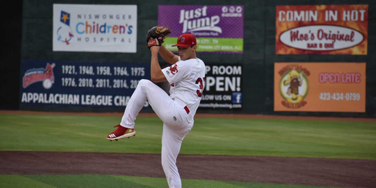Cardinals Fall to Rays in Opener | MiLB.com