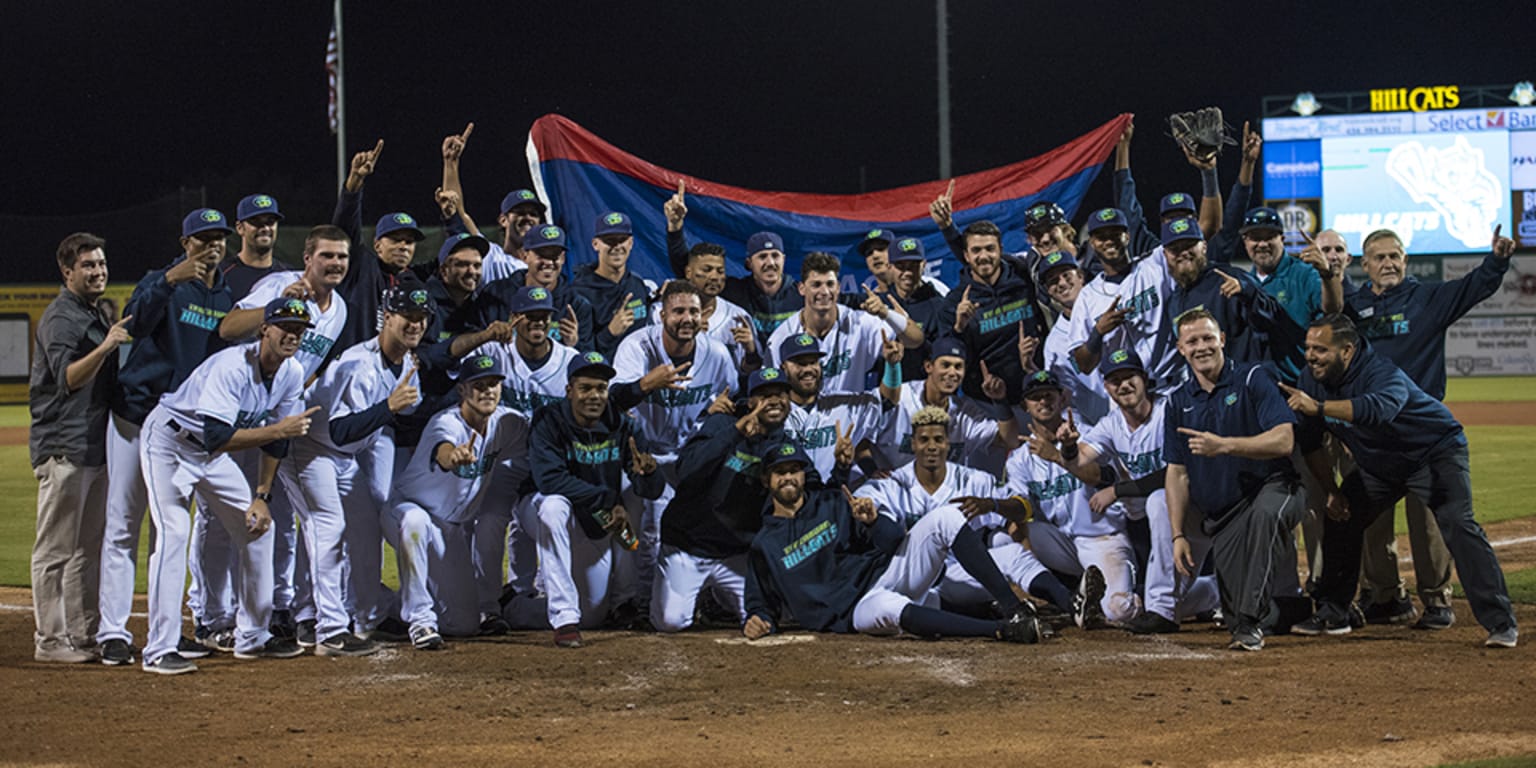 Brock Hartson, Willi Castro help Lynchburg Hillcats win share of ...