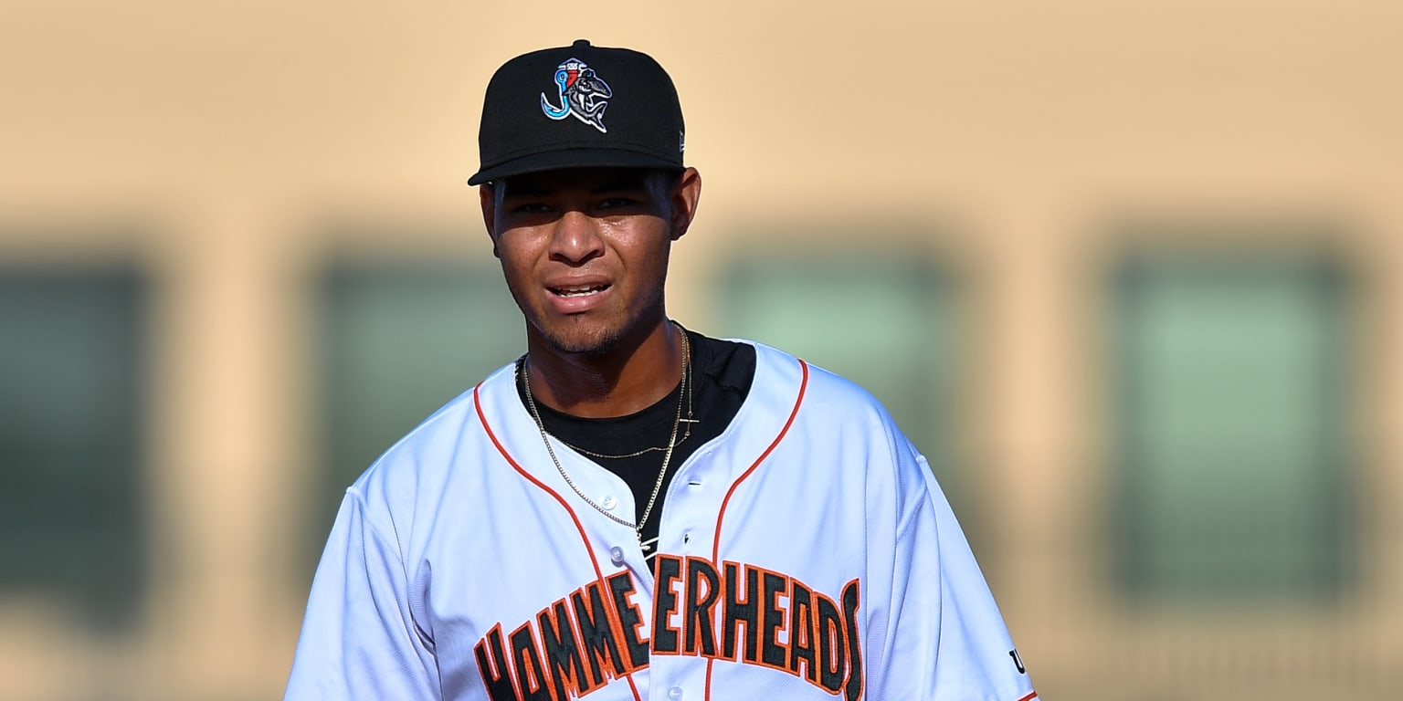 Hammerheads Drop Series Finale 1-0 | MiLB.com
