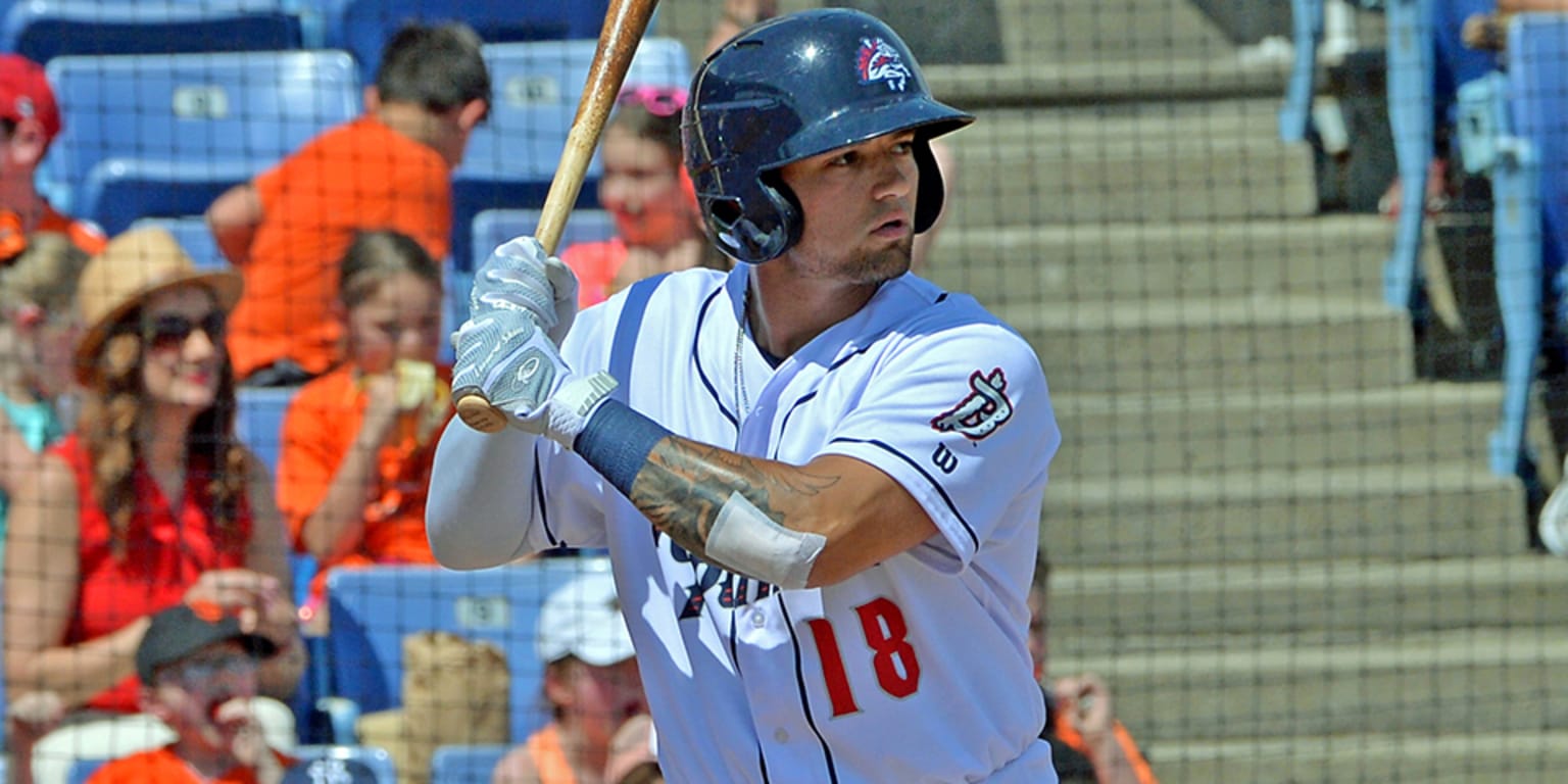 L.J. Mazzilli rides off on four-hit night for Binghamton Rumble Ponies ...