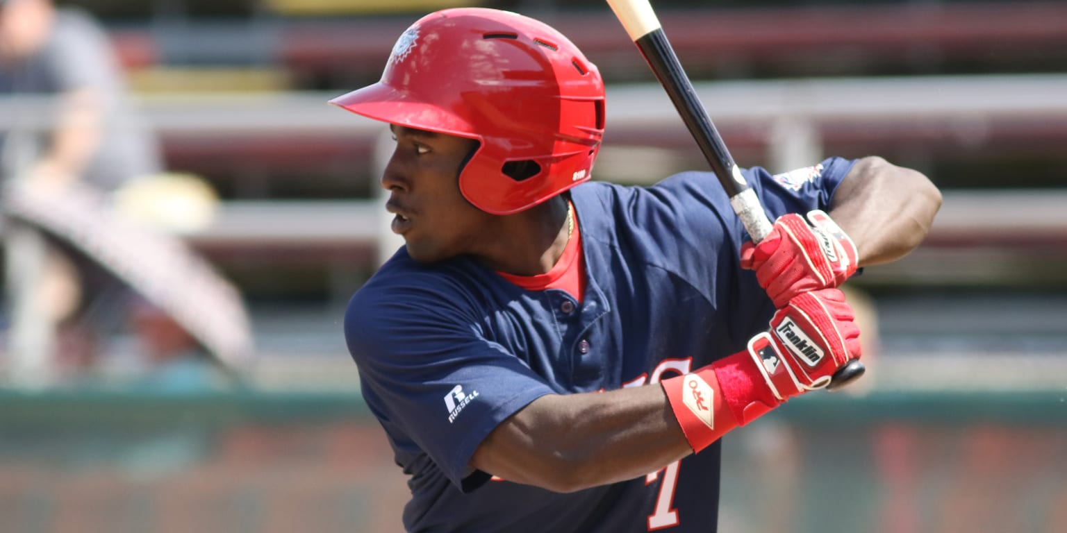 Washington Nationals' Daniel Johnson homers twice | MiLB.com