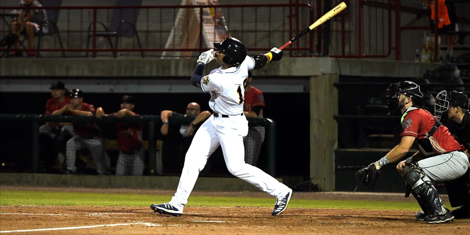 Bees end loss streak in 5-3 victory | MiLB.com