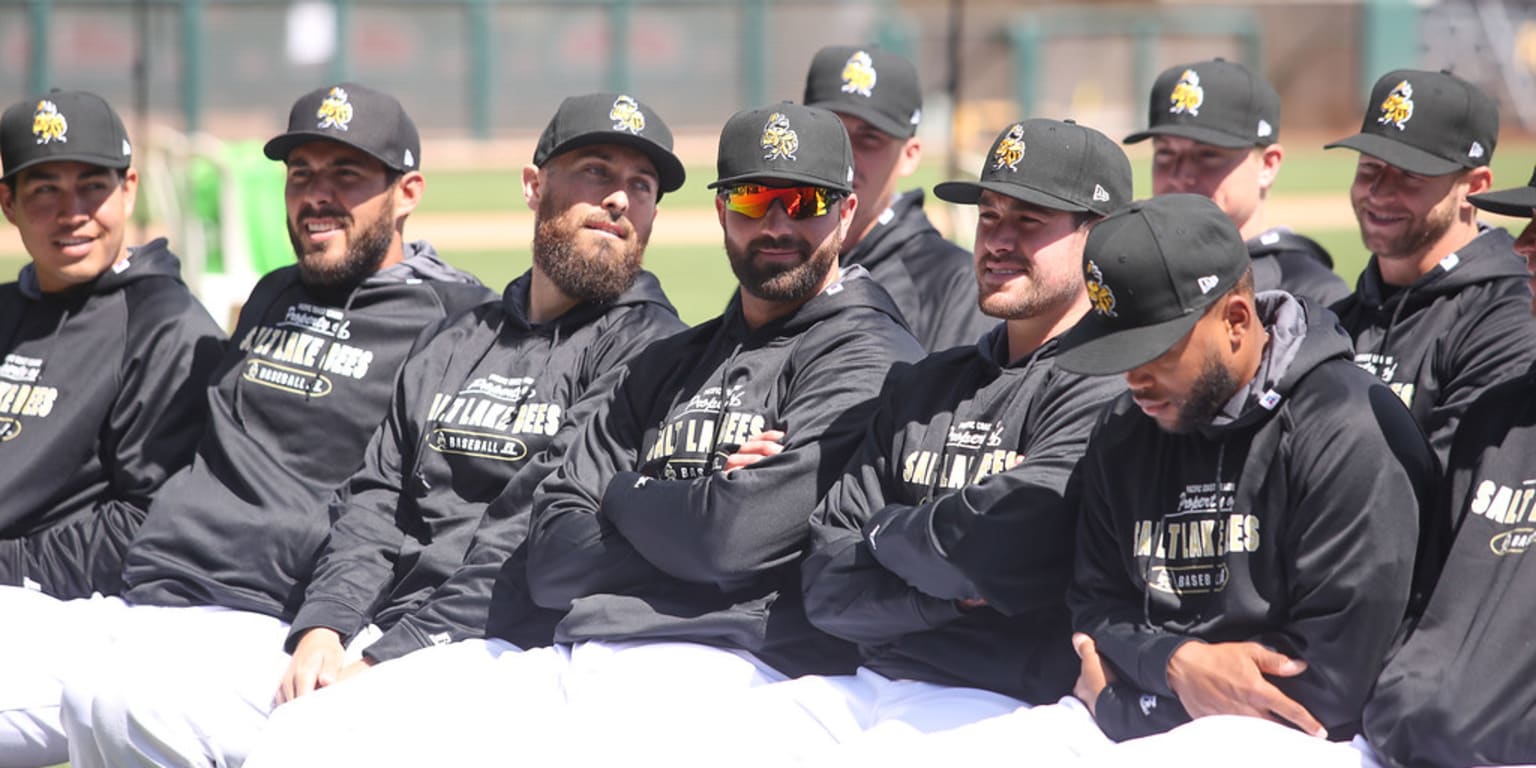 Bees Announce 2017 Opening Day Roster | MiLB.com