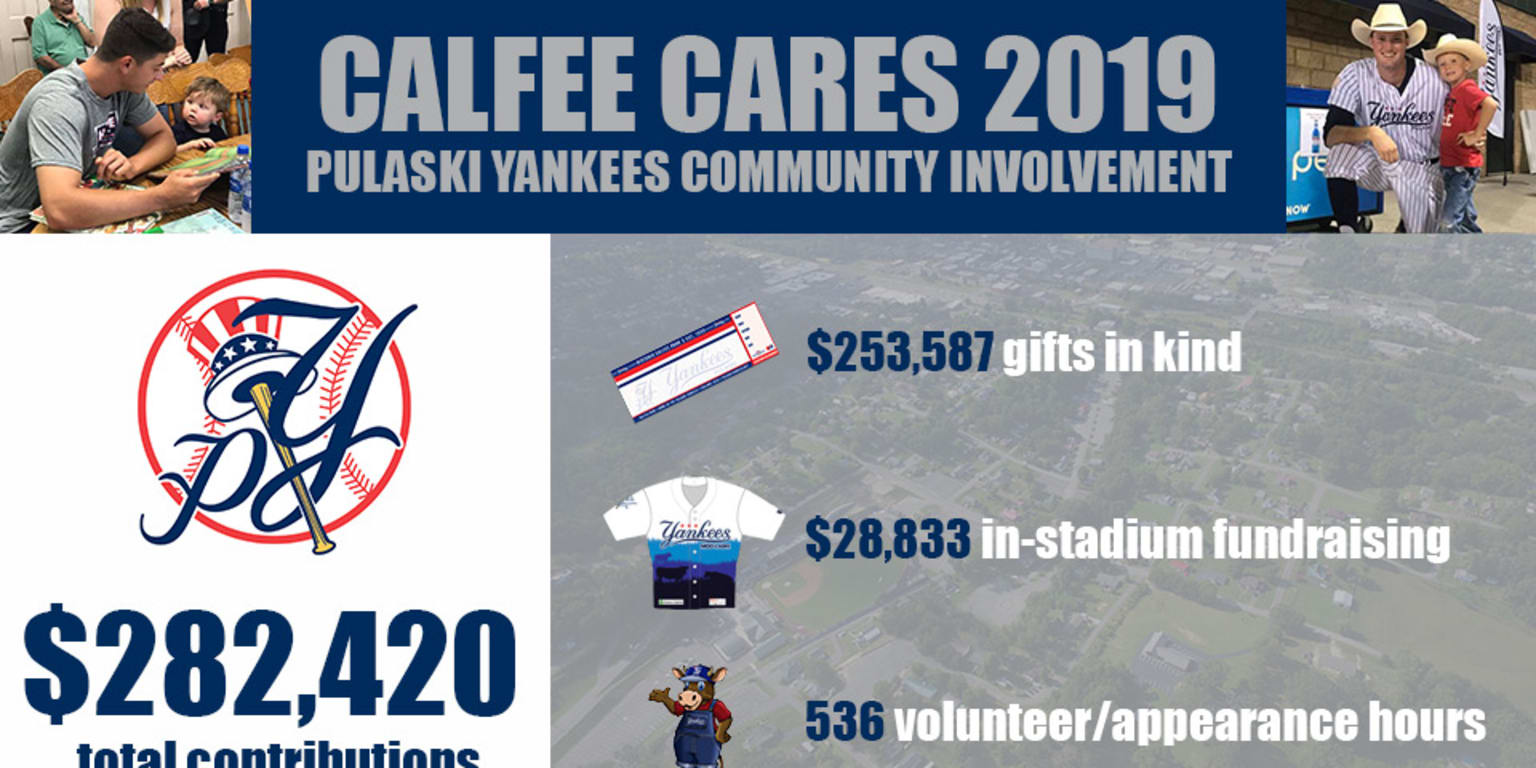 Pulaski Yankees release 2019 charitable contributions | River Turtles