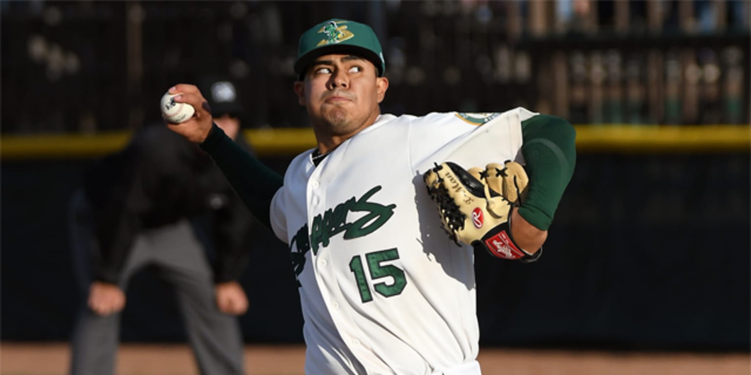 Snappers Split Double-Header With Cougars | MiLB.com