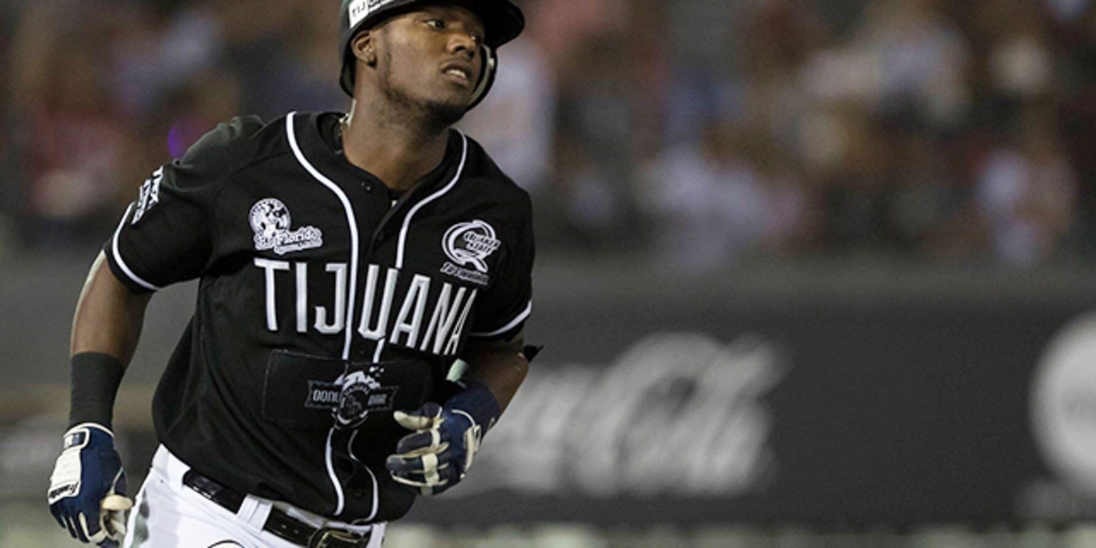 Junior Lake vuelve a Toros para 2019 | MiLB.com