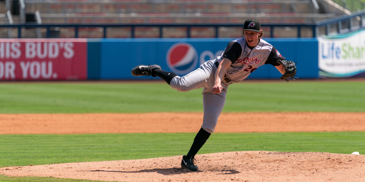 2019 Season Ends In Division Series | MiLB.com
