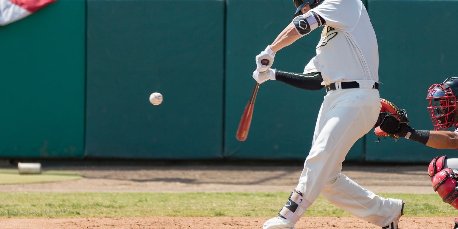 Ellis's Double Delivers Win | MiLB.com