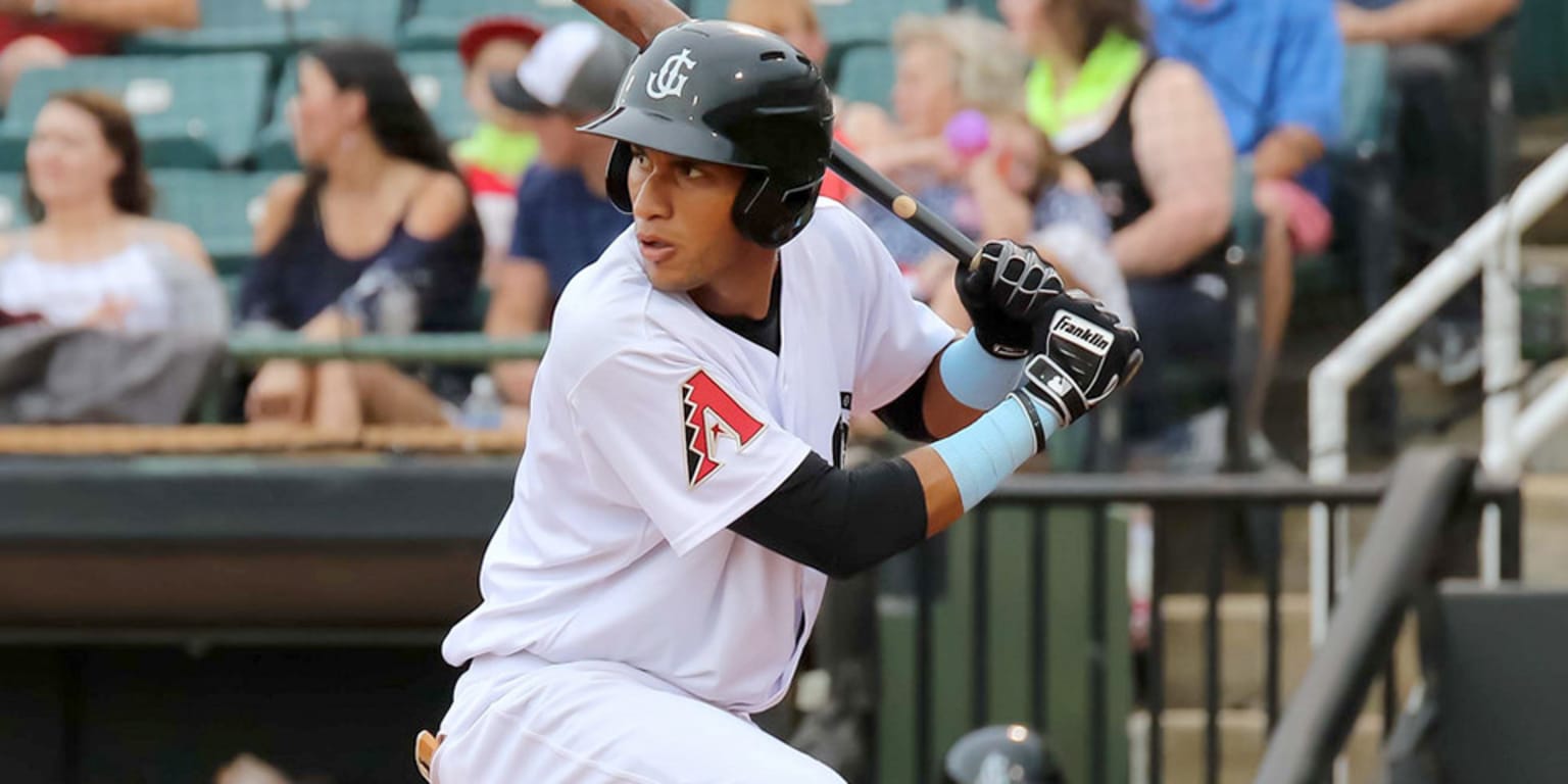 Victor Reyes, multiple picks headline Rule 5 Draft | MiLB.com
