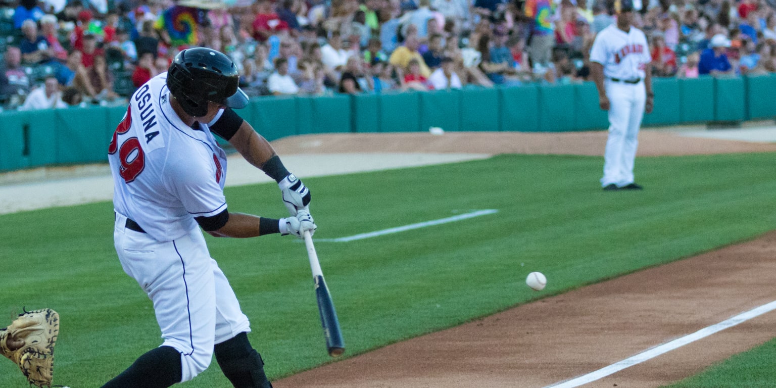 Spring Training Spotlight: Jose Osuna | MiLB.com