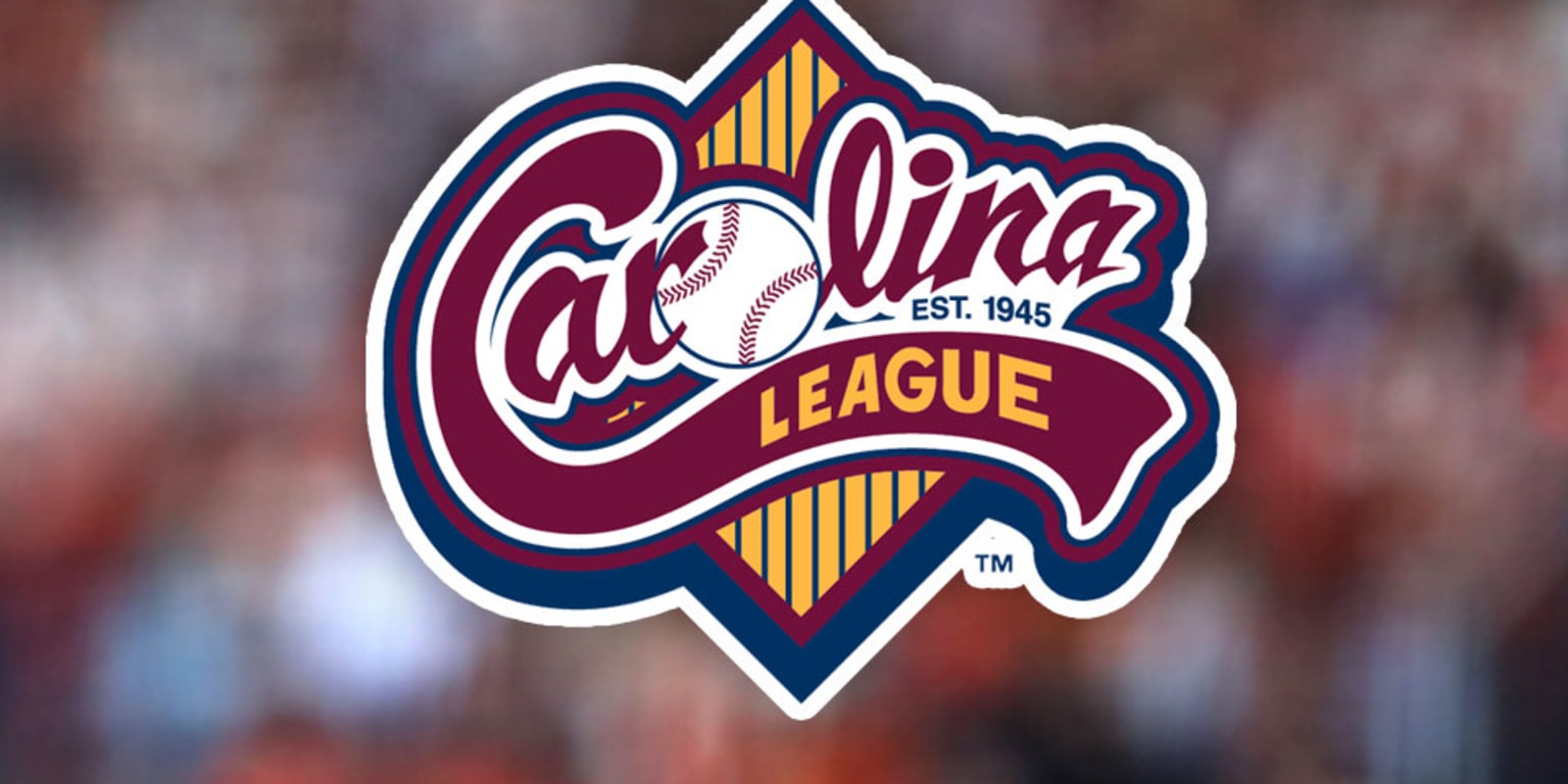 Carolina League Finals turned into one-game series | MiLB.com