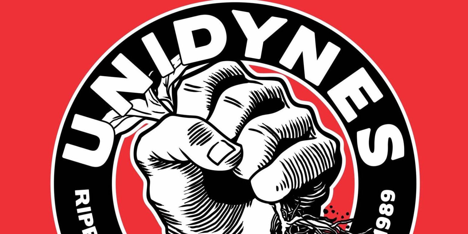 Unidynes to Close Out Music on the Avenue at NelsonCorp Field | MiLB.com