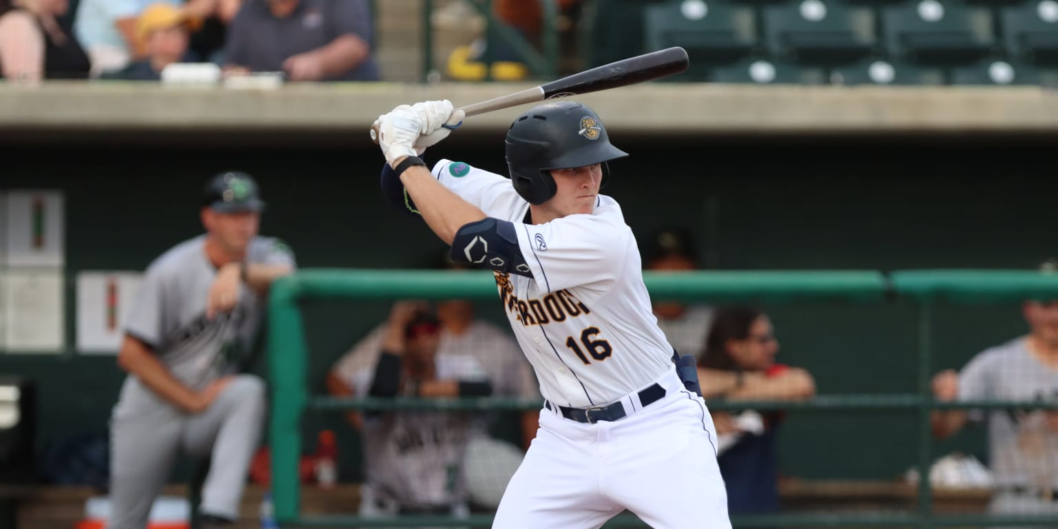 Rays Promote RiverDogs Standout Curtis Mead | MiLB.com