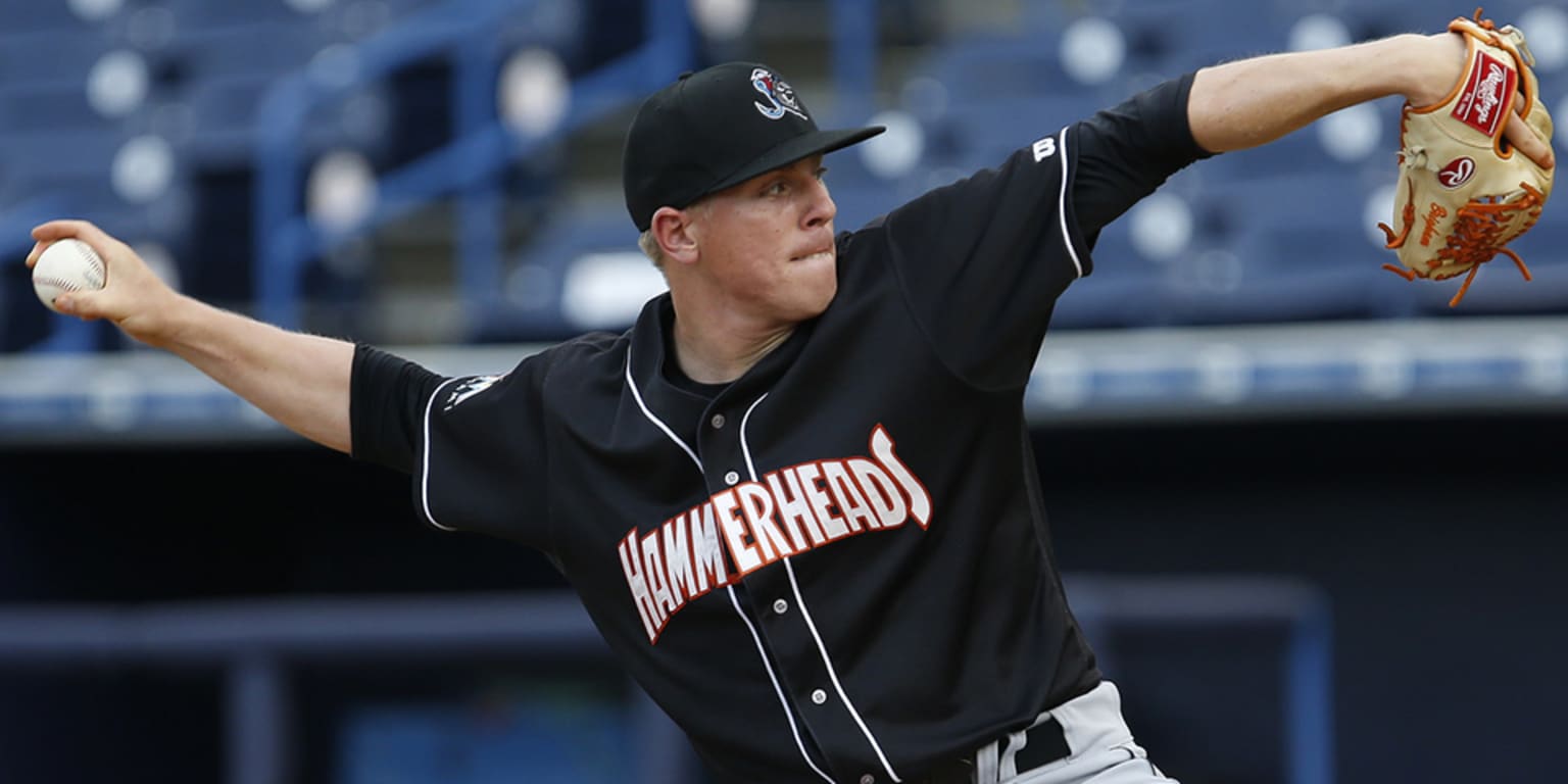 Jeff Brigham puts up six zeros for Jupiter Hammerheads | MiLB.com