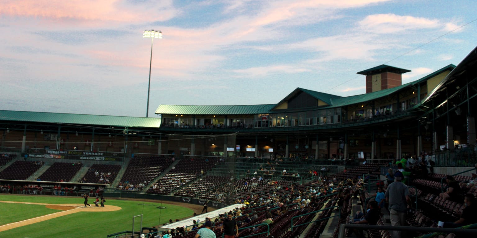 Storm Drop Second Pitcher's Duel Against the Grizzlies | MiLB.com