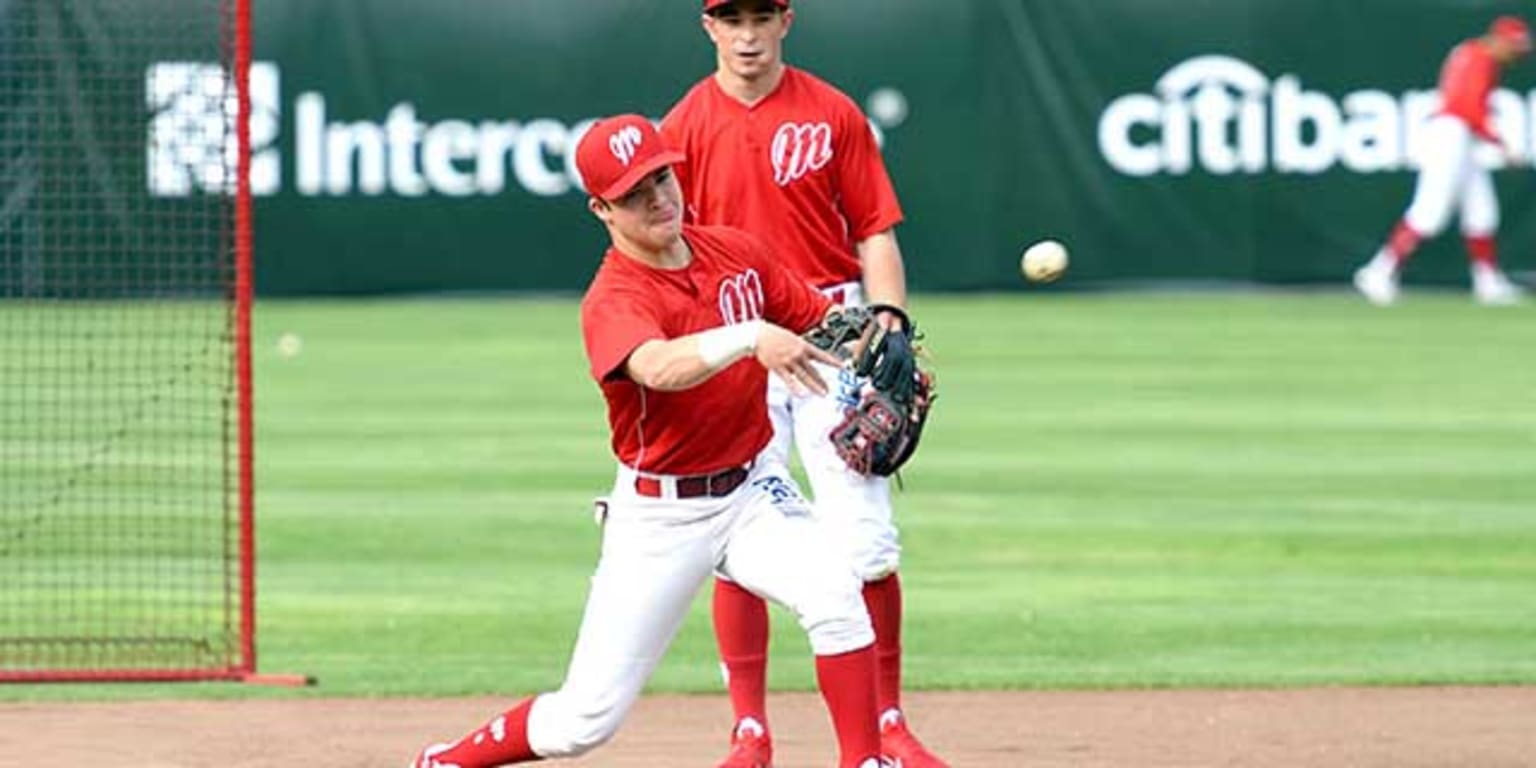 Omar Meza, aprovecha la oportunidad | MiLB.com