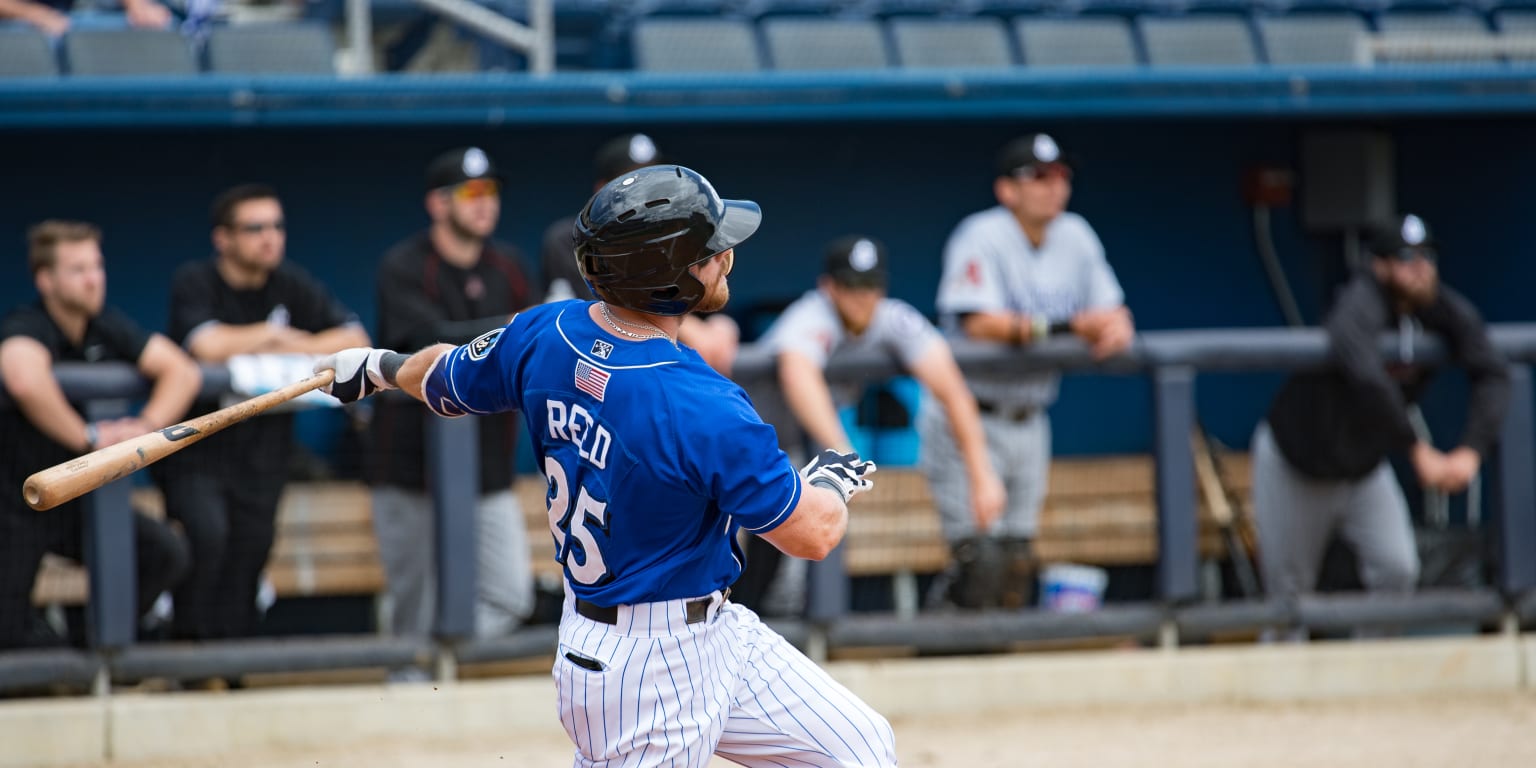 Michael Reed placed on the 7-day DL | MiLB.com