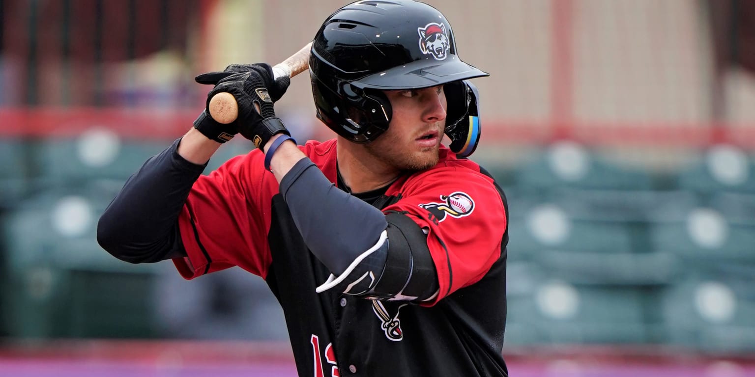 SeaWolves Walk Off in Extras | MiLB.com