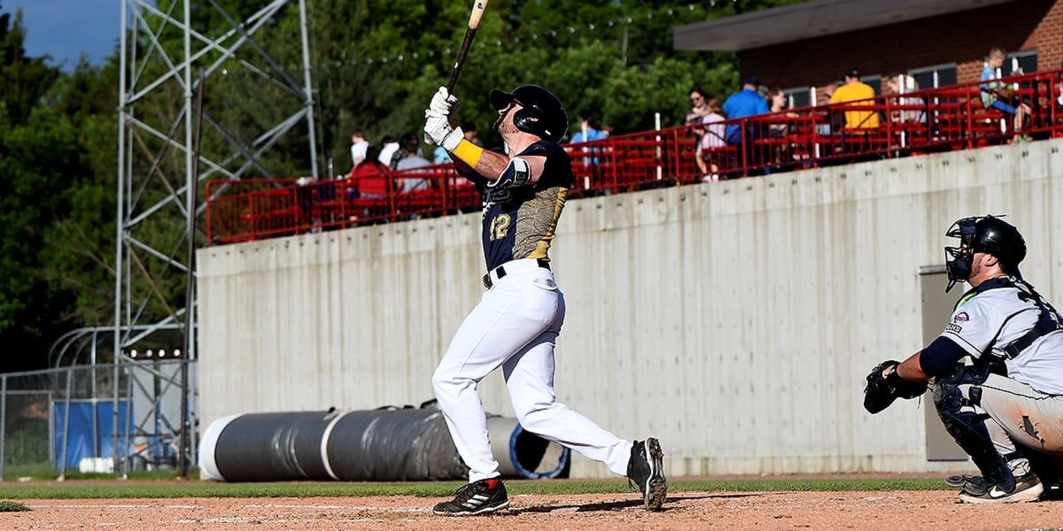 Bees open series with 4-1 win over Fort Wayne | MiLB.com