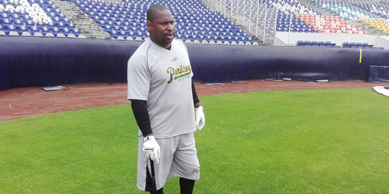 Delmon Young refuerza a Pericos | MiLB.com